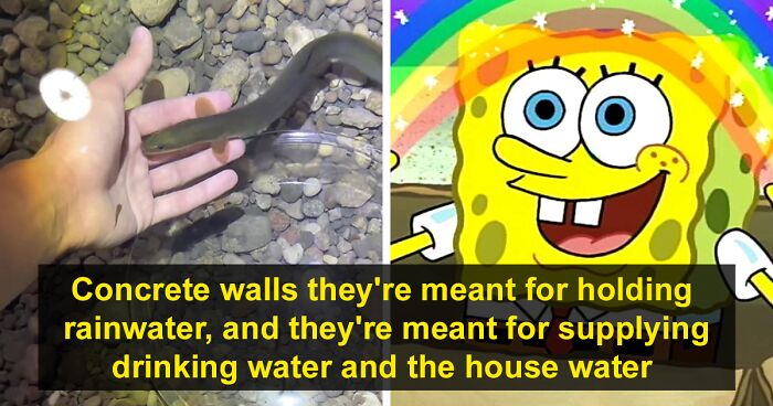 This Man Has An “Eel Pit” Under His Home And It’s Making The Internet ...