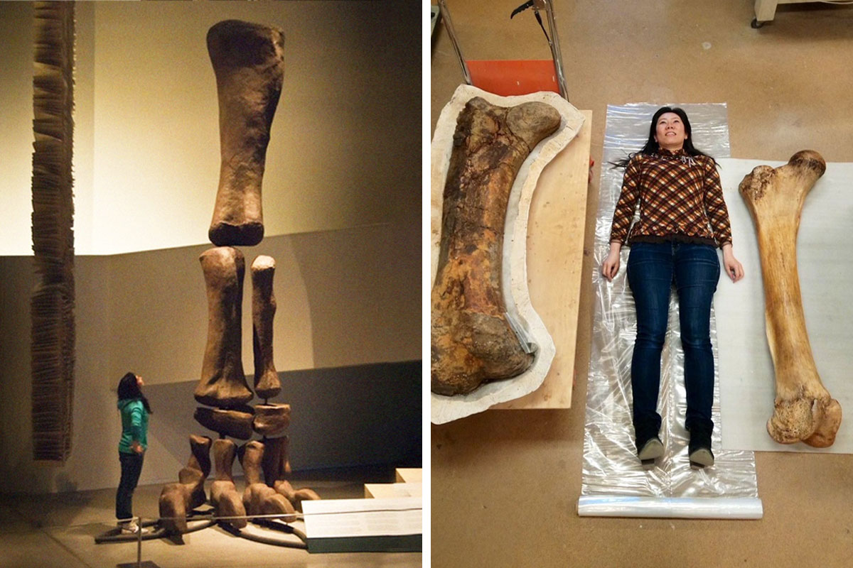 30 Pictures And Illustrations That Might Make You Say “Nature Was Metal ...