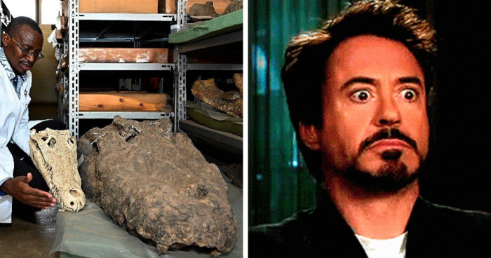 30 Pictures And Illustrations That Might Make You Say “Nature Was Metal ...