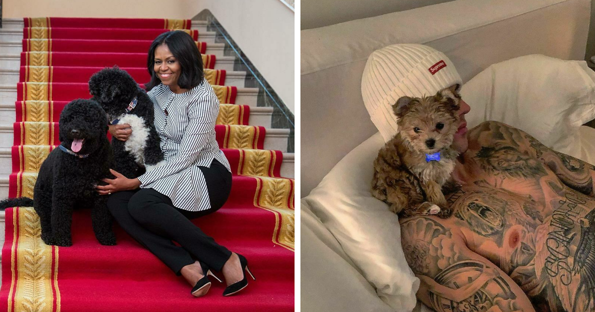 79 Photos Of Celebrities With Pets To Melt Your Heart | Bored Panda