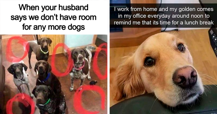 ‘Awkward Animals’: 50 Pics ‘For Animal Lovers Of All Kinds’ | Bored Panda