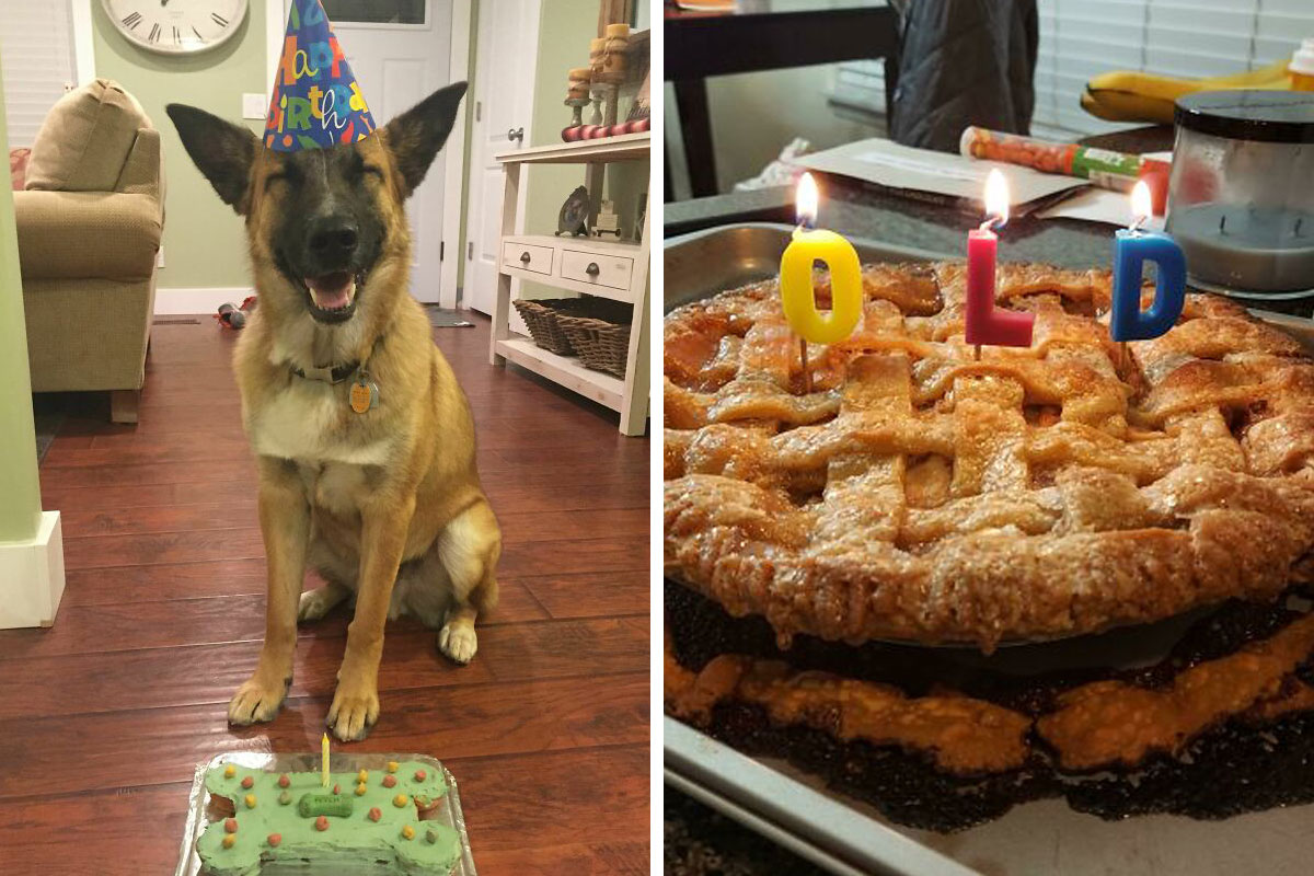 50 Hilarious Celebration Pics That Are Bound To Make You Smile | Bored ...