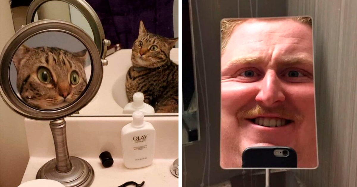 112 Funny Mirror Pics To Learn Some Photography Skills From | Bored Panda