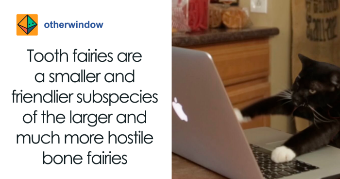 This Account Collects The Most Beautiful And Witty Tumblr Conversations ...