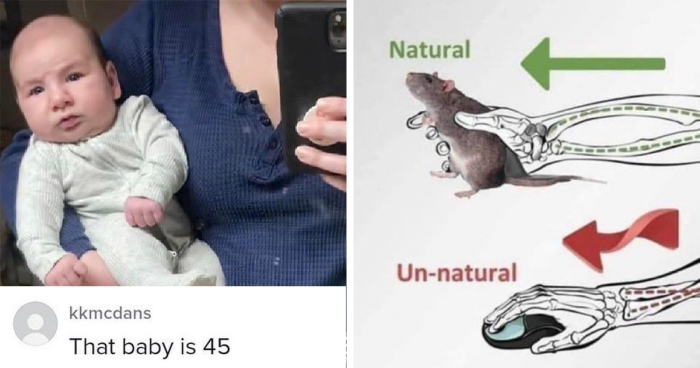 50 Funny “Uncomfortable Memes” To Make You Laugh, As Shared On This ...