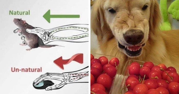 50 Funny “Uncomfortable Memes” To Make You Laugh, As Shared On This ...