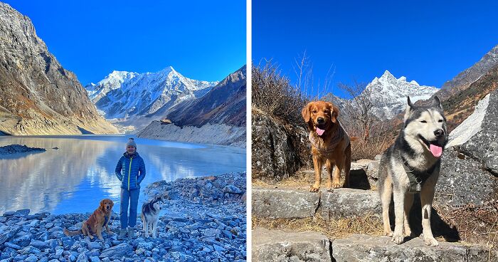Hiking With My Two Dogs Is My Biggest Passion, Here Are Some Highlights ...