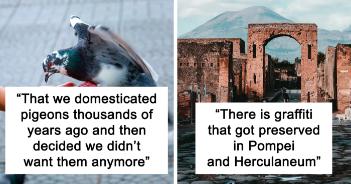 50 Historical Facts That Have Completely Ruined The Way These People ...