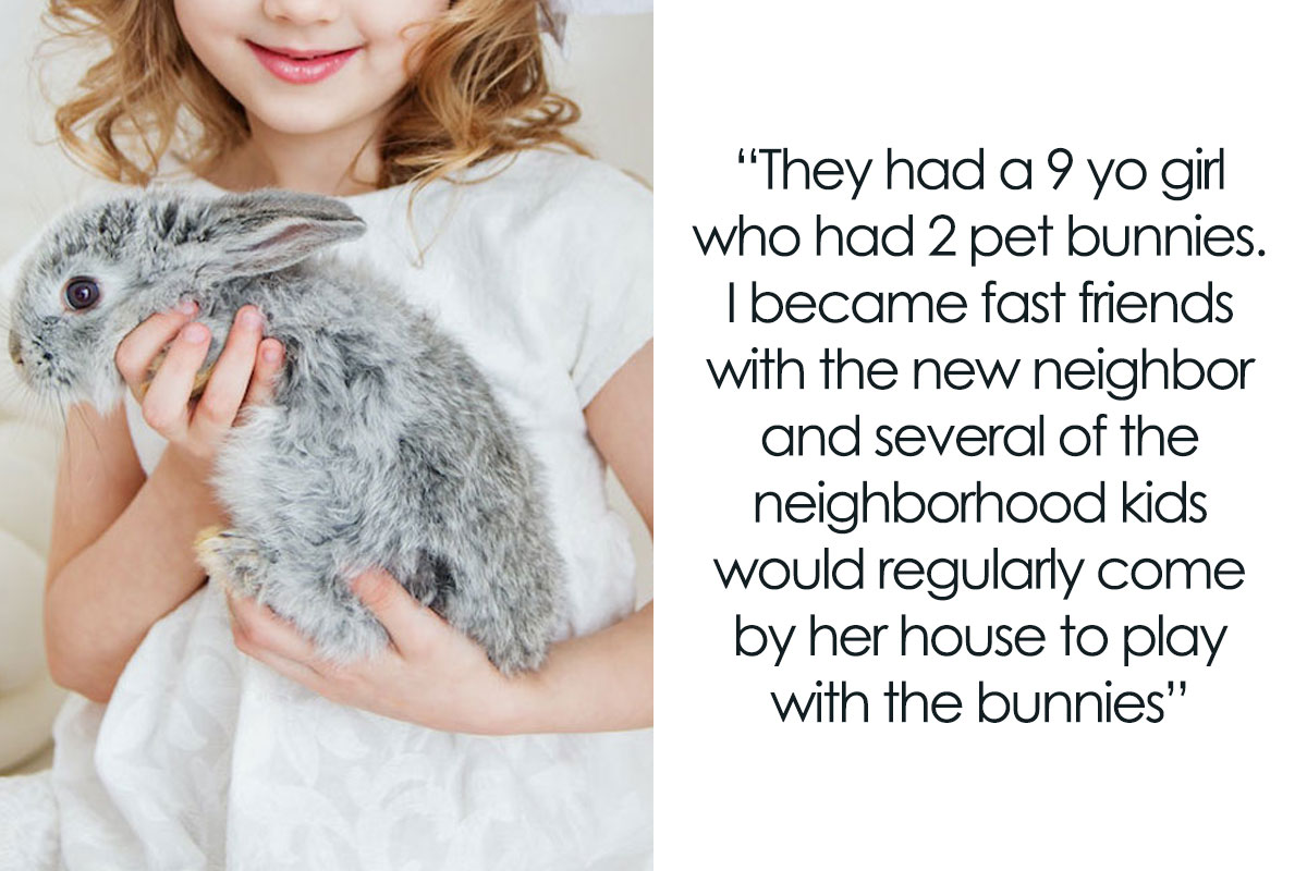 HOA Forces This Family To Get Rid Of Their Bunnies, So They Start A ...