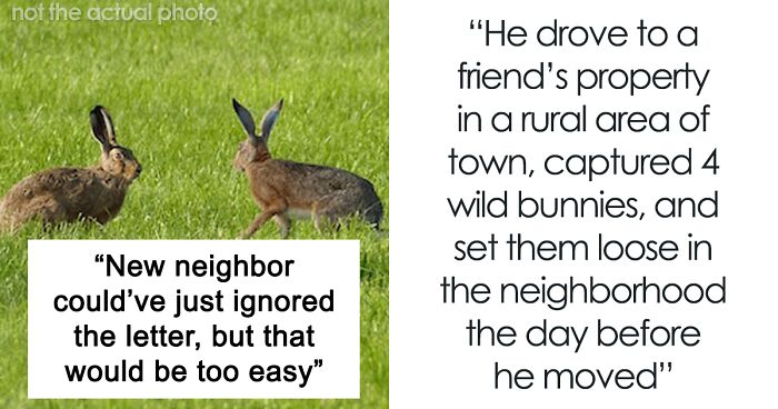 HOA Forces This Family To Get Rid Of Their Bunnies, So They Start A ...