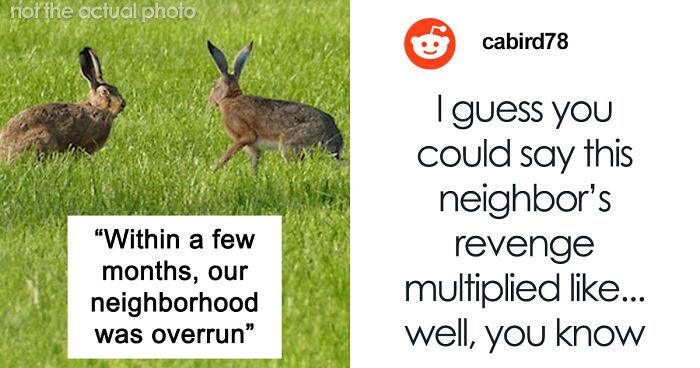 HOA Forces This Family To Get Rid Of Their Bunnies, So They Start A ...
