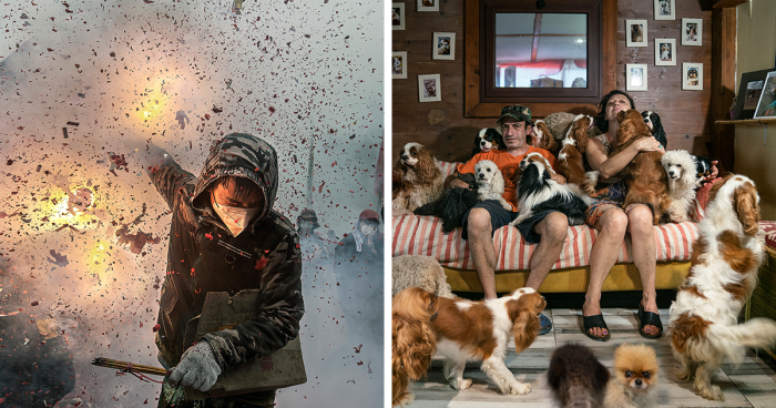 Here Are 40 Of The Most Striking Photographs, As Selected By All About ...