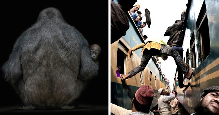 Here Are 40 Of The Most Striking Photographs, As Selected By All About ...