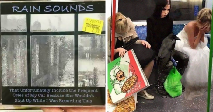 50 Of The Most ‘Blursed’ Images That Are As Blessed As They’re Cursed