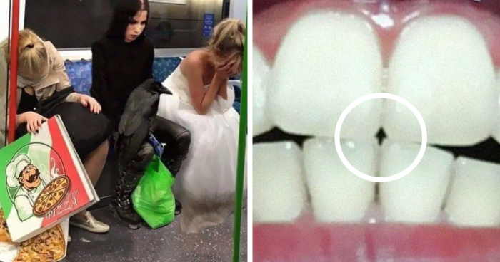 50 Of The Most ‘Blursed’ Images That Are As Blessed As They’re Cursed