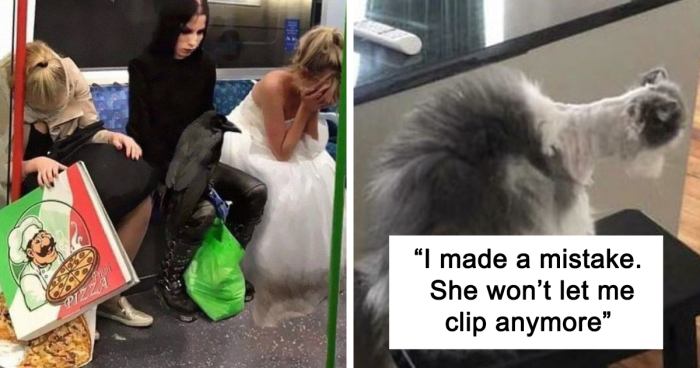 50 Of The Most ‘Blursed’ Images That Are As Blessed As They’re Cursed