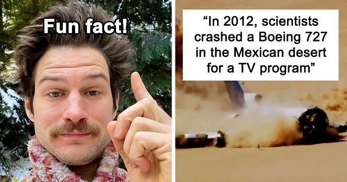35 Random Facts Shared On This Instagram Account To Make You Question ...