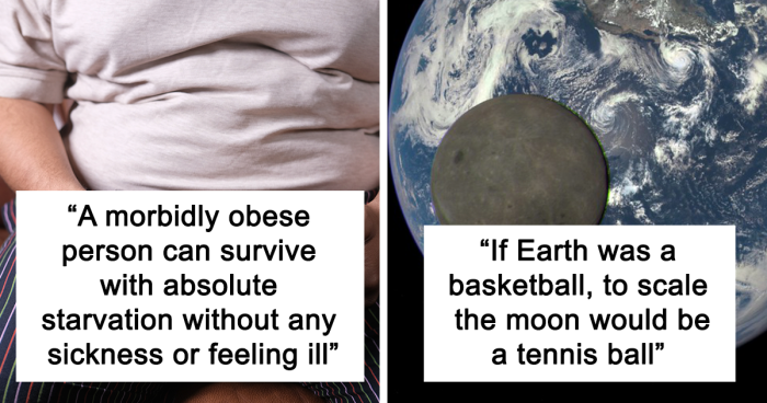 People Are Sharing Facts That Sound Fake But Are Totally True, Here Are ...