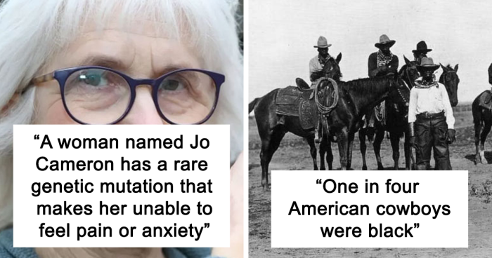 30 ‘Today I Learned’ Facts To Spark Your Curiosity (New Pics) | Bored Panda