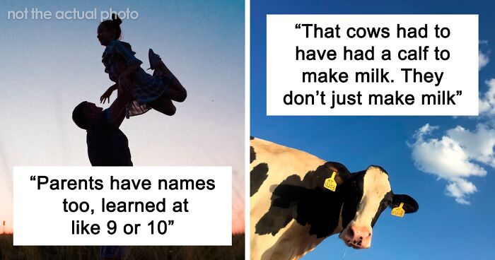 50 Pieces Of Common Knowledge People Admit To Learning Embarrassingly ...