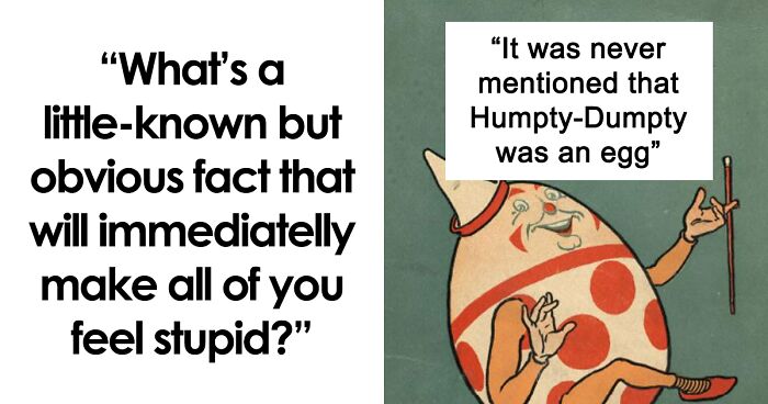 30 On-The-Nose Facts That Many Of Us May Feel Stupid For Not Realizing ...