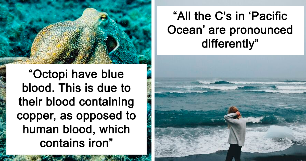 30 People Are Flexing Their Knowledge By Sharing The Most Interesting ...