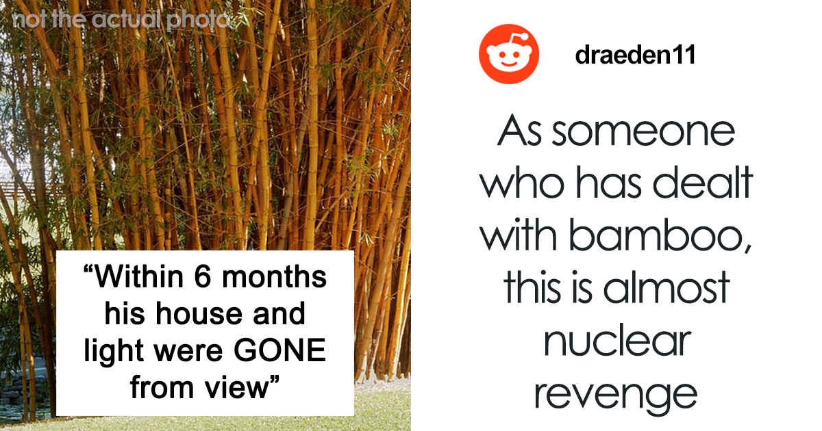 “I Quickly Discovered Running Bamboo”: Homeowner Takes Revenge On ...