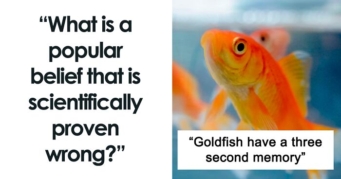 Someone Asks “What Is A Popular Belief That Has Been Scientifically ...