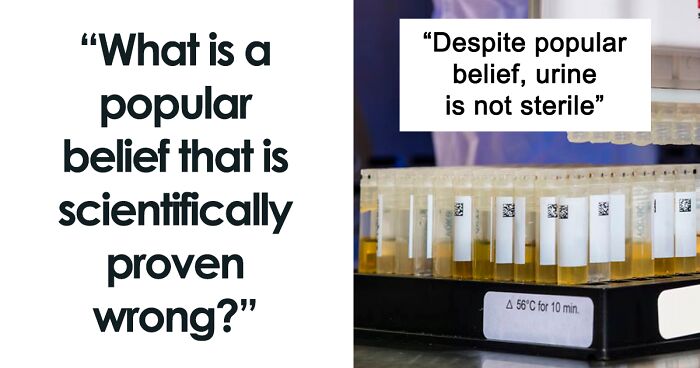 Someone Asks “What Is A Popular Belief That Has Been Scientifically ...