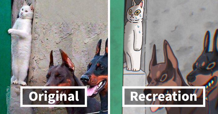 Funny Images Of Cats Found On The Internet Get Transformed Into Cute ...