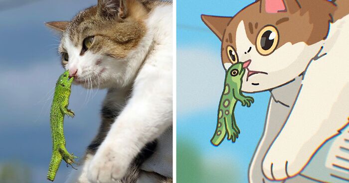 Funny Images Of Cats Found On The Internet Get Transformed Into Cute ...
