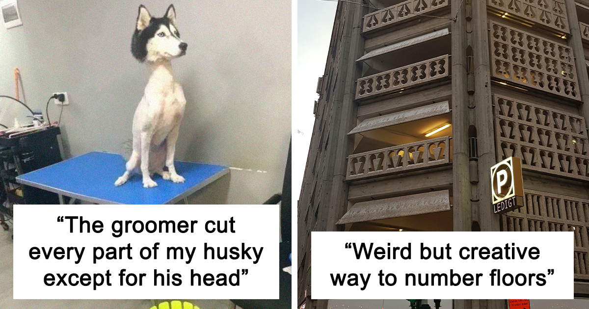 30 Weird Ways To Get Creative, As Shared On This Online Group | Bored Panda