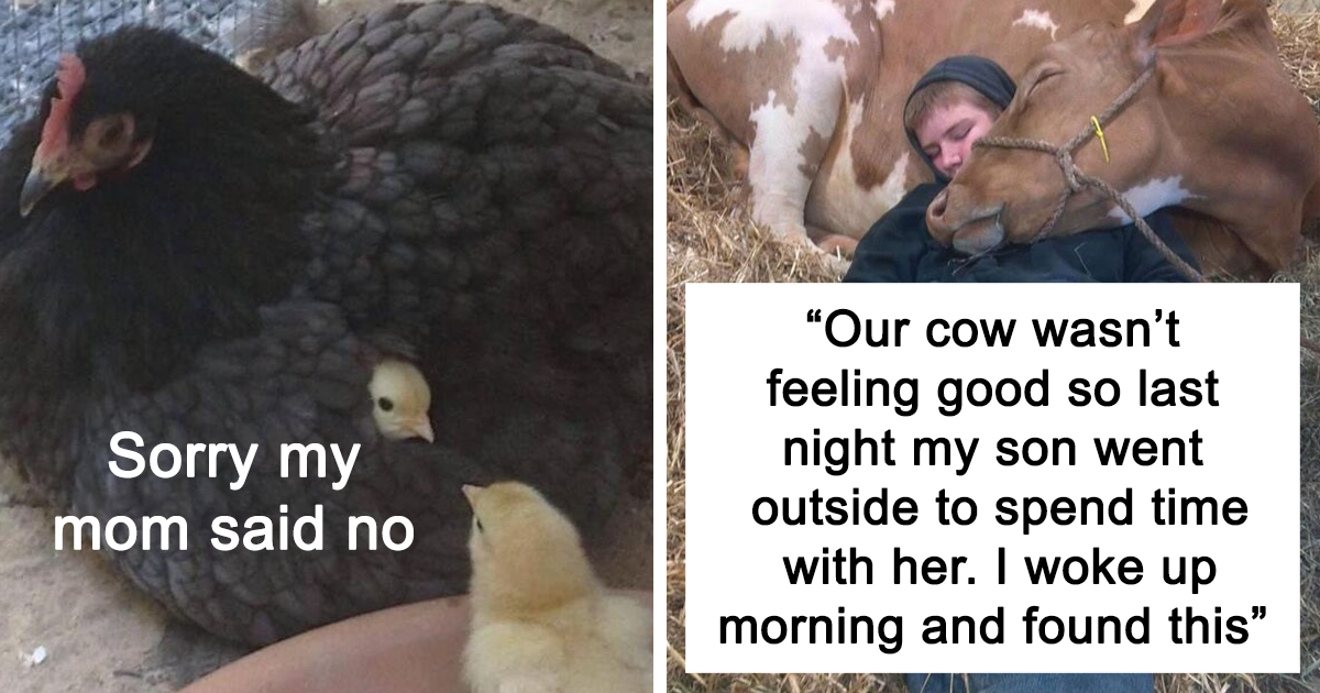 30 Wholesome Pics To Remind You There’s Good In The World, As Shared On ...