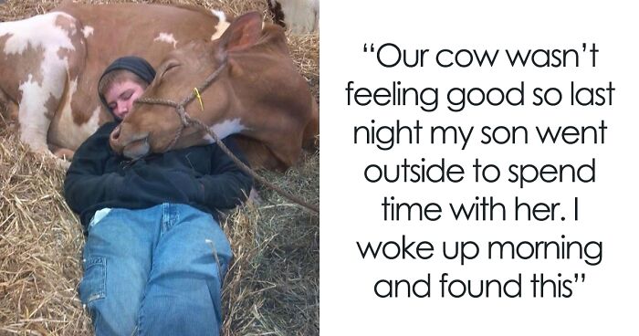 30 Wholesome Pics To Remind You There’s Good In The World, As Shared On ...