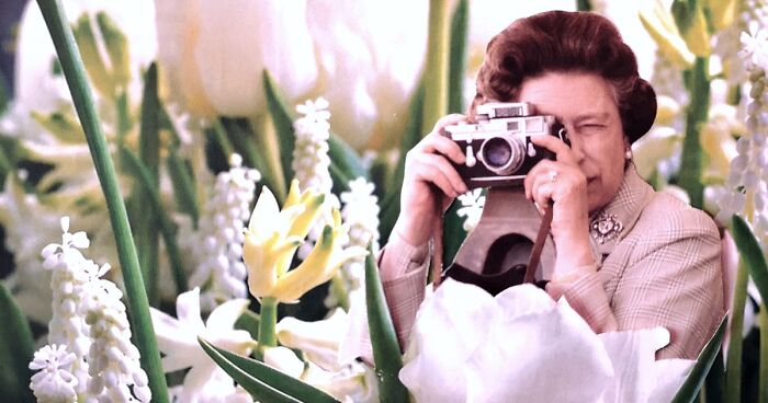 I Give New Lives To Old, Forgotten Photographs By Creating Collages ...