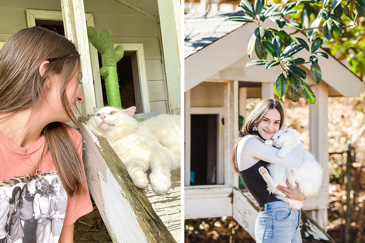 Meet Coop, A Cat Abandoned By His Owners Who Found His New Loving Family