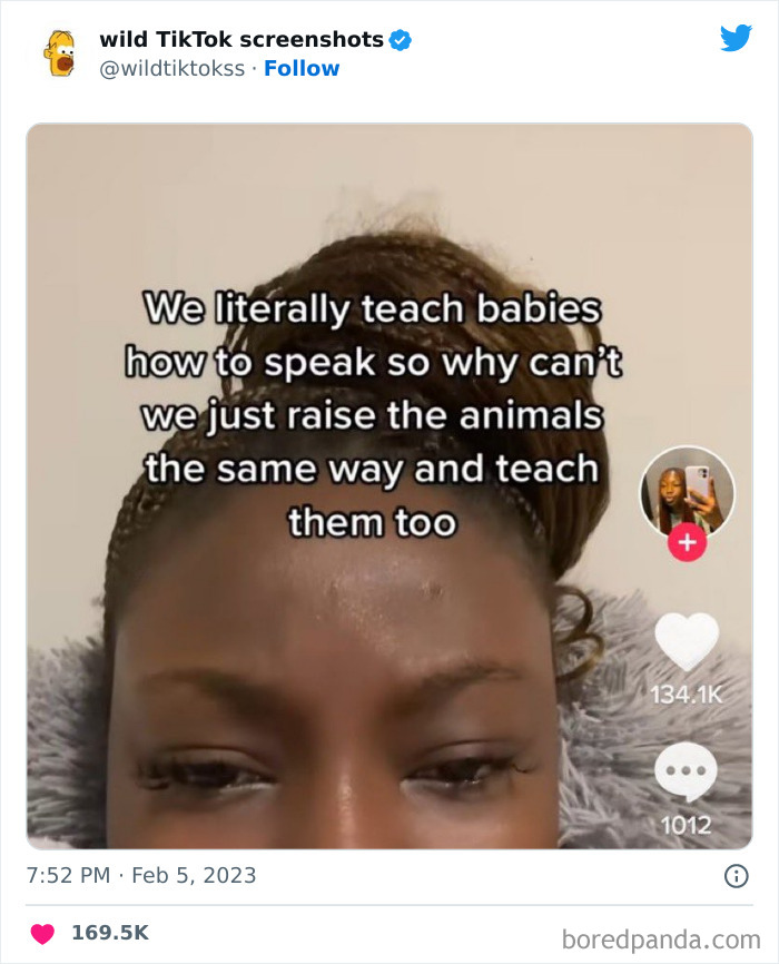 50 Wild, Weird, And Cringy TikTok Moments That Will Forever Exist As ...