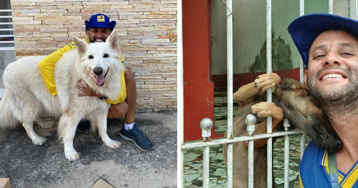 Mailman Takes Selfies With Every Animal That He Befriends While On His ...