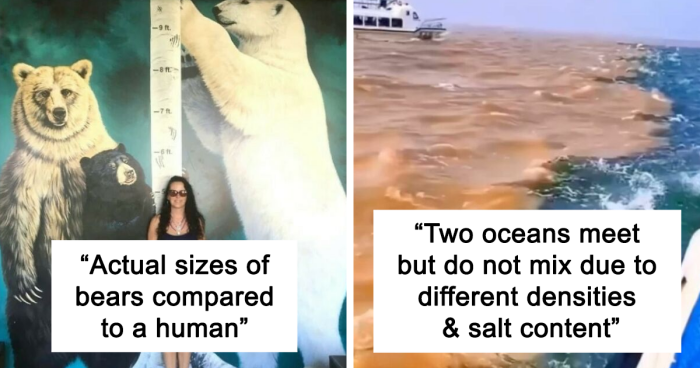 This Instagram Account Shares Fascinating Fun Facts You Probably Didn’t ...