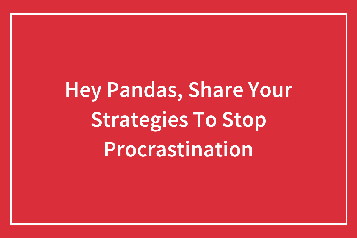 Procrastination Meme Panda