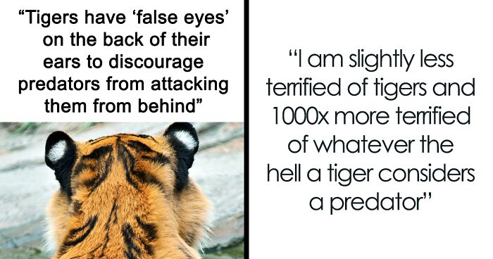 50 Hilarious Memes That Combine The Internet’s Two Most Favorite Things ...