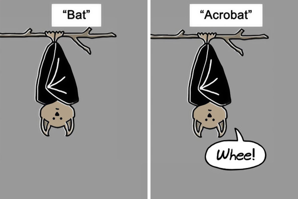 Science Humor Cartoons