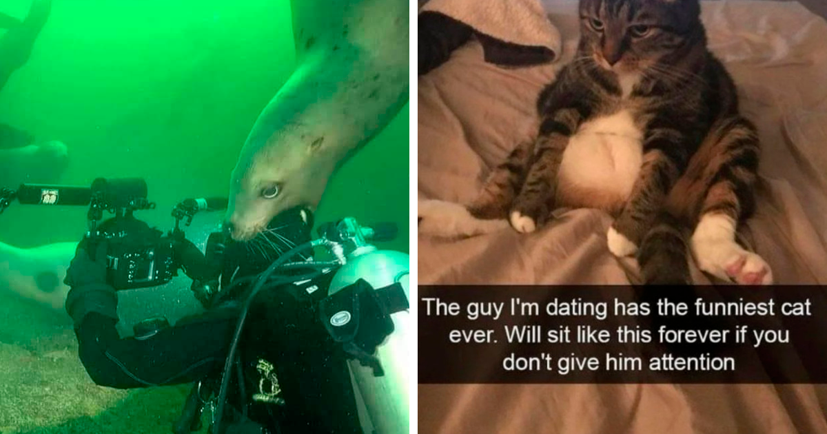 50 Times Animals Acted So Hilariously Devious, They Ended Up Being ...