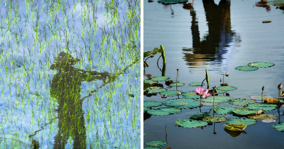 13 Impressionist-Inspired Images That Look Straight Out Of A Painting ...