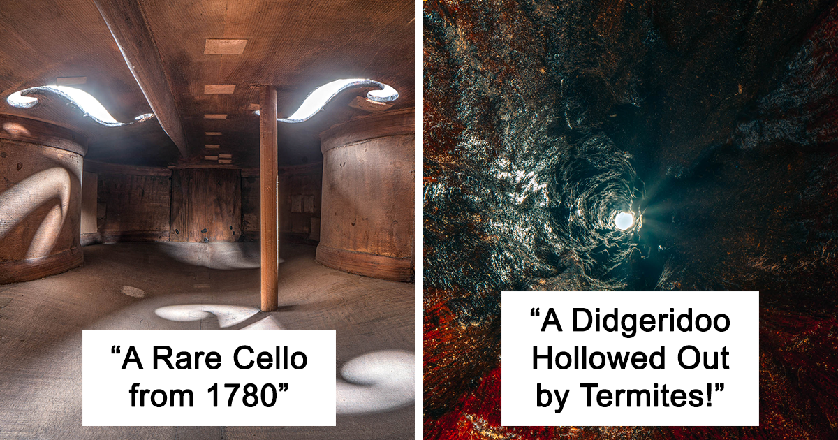 I Took Images Revealing The Hidden Beauty Lurking Inside Musical ...