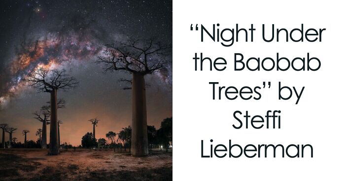 From Remote Deserts To Lost Landscapes: This Year’s 25 Winning Images ...