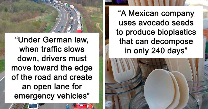 50 Intriguingly ‘Unbelievable Facts’ Perfect For Those Who Want To Test ...