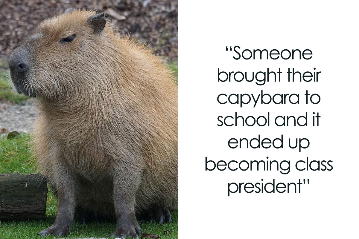 From Hilarious To Utterly Chilling, 30 People Share What “The Incident ...