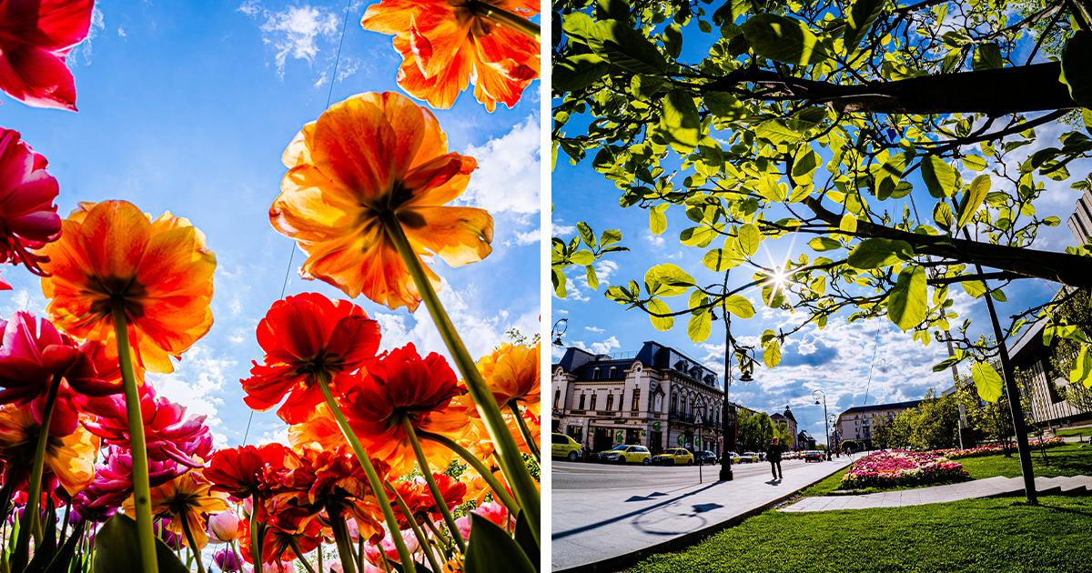 I Took Pictures Of Sunny Craiova In Romania (40 Pics) | Bored Panda