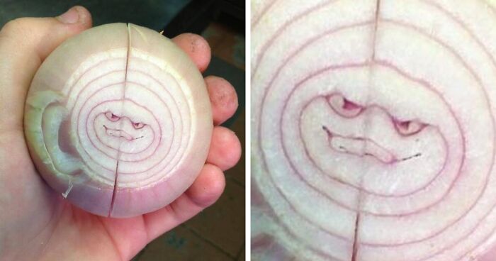 29 Funny Instances Of ‘Random Pareidolia’ To Trick Your Brain Into ...